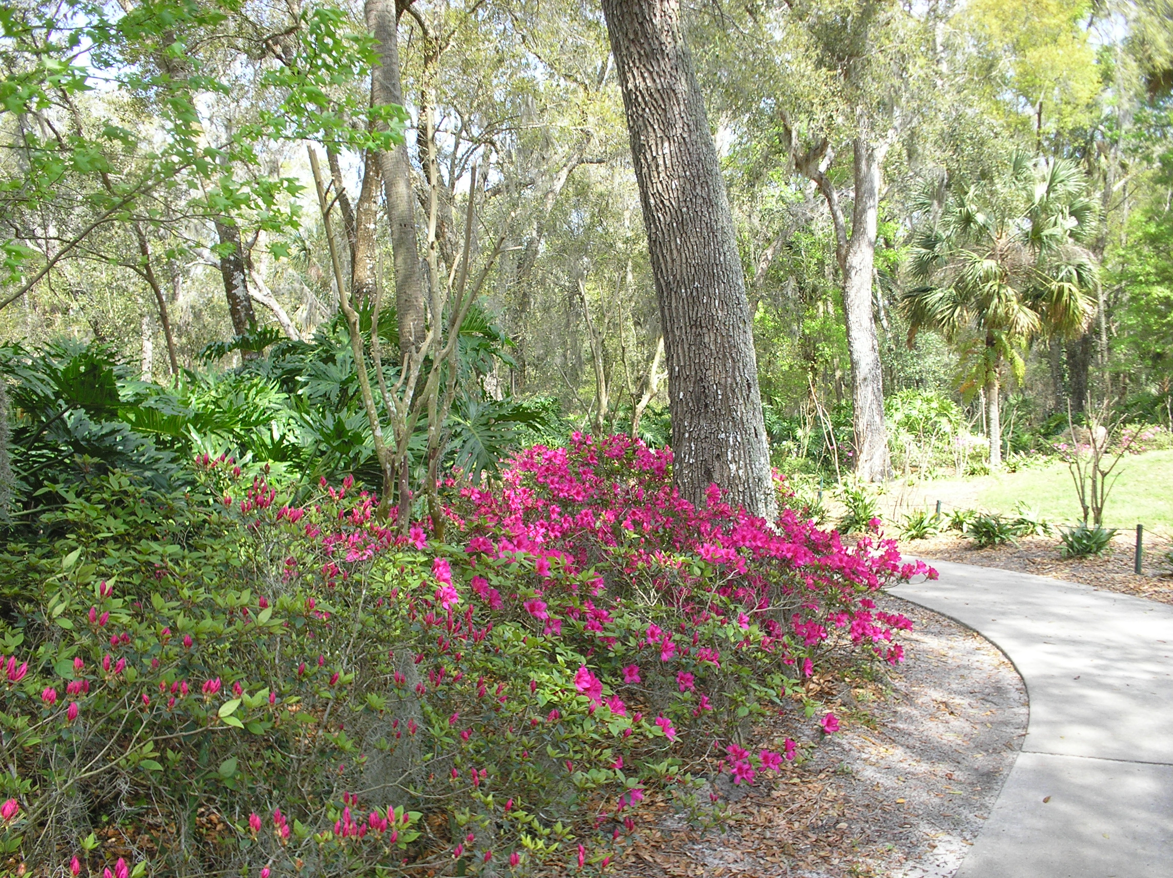 Gallery - Halifax Plantation Golf Club