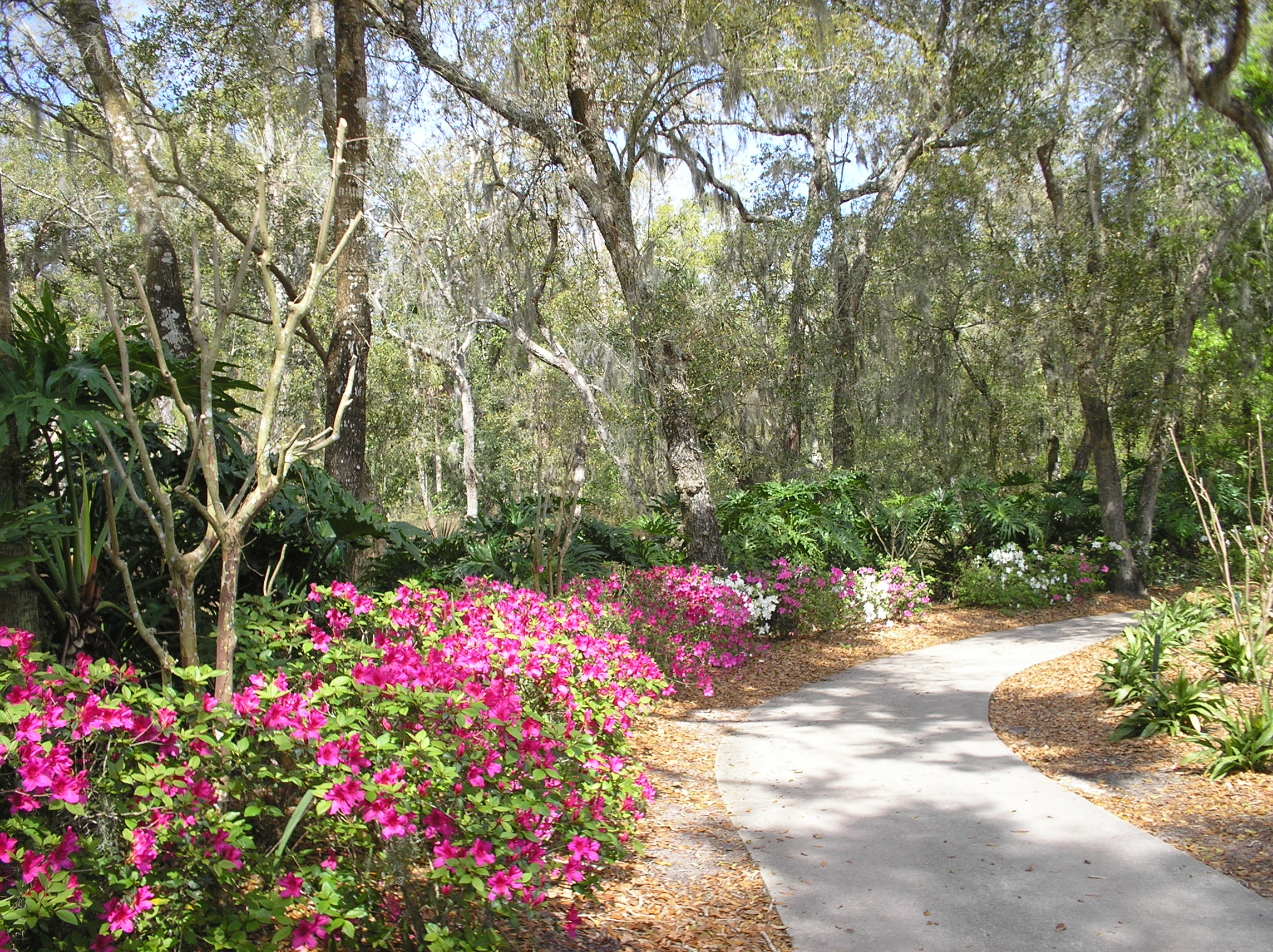 Gallery - Halifax Plantation Golf Club