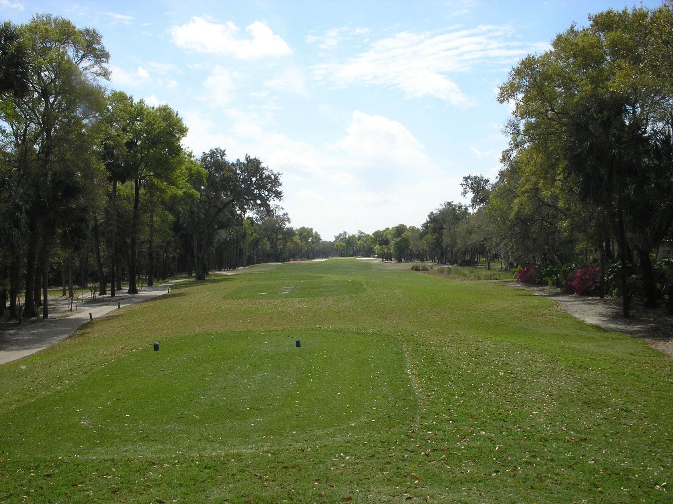 Gallery - Halifax Plantation Golf Club