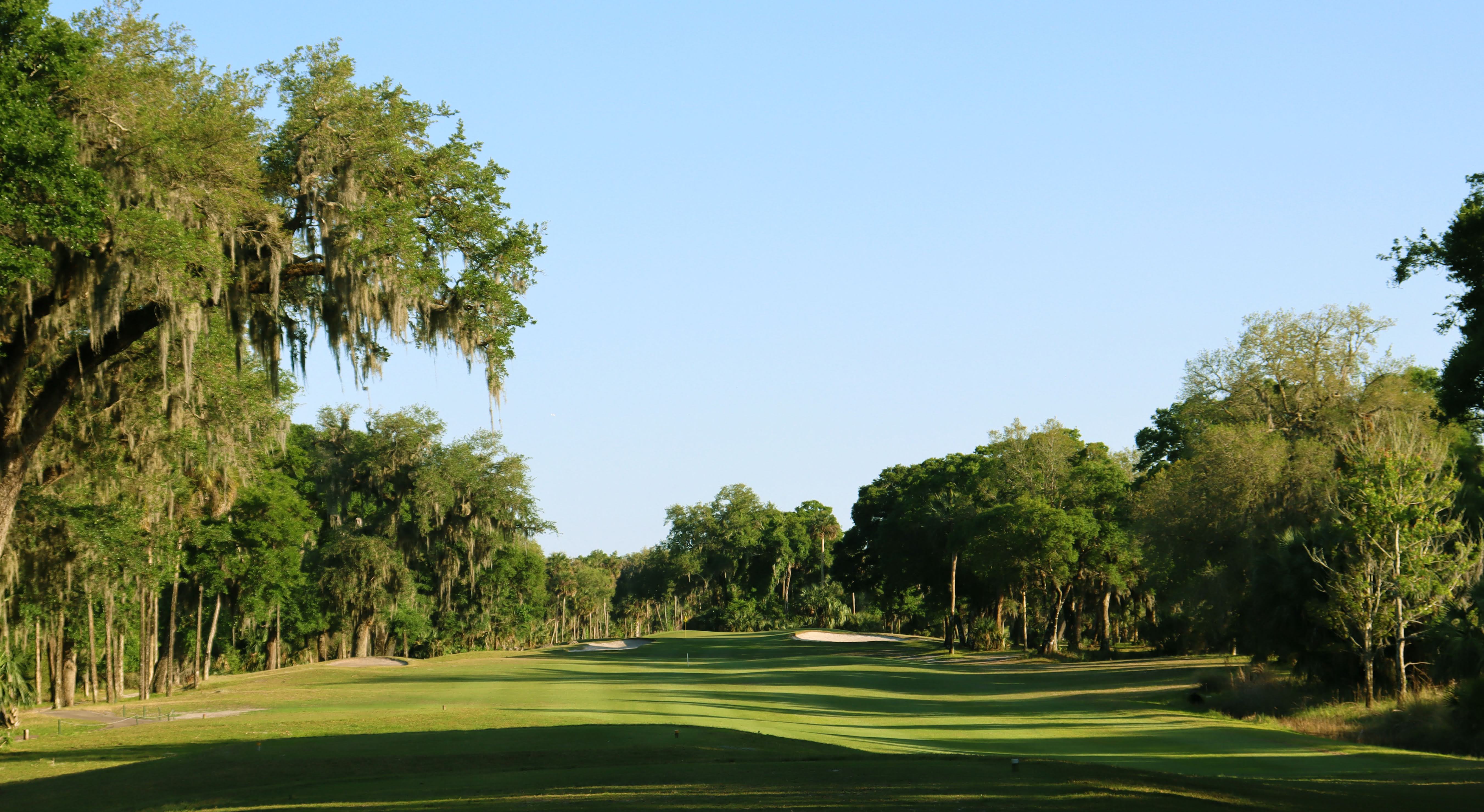 Gallery - Halifax Plantation Golf Club