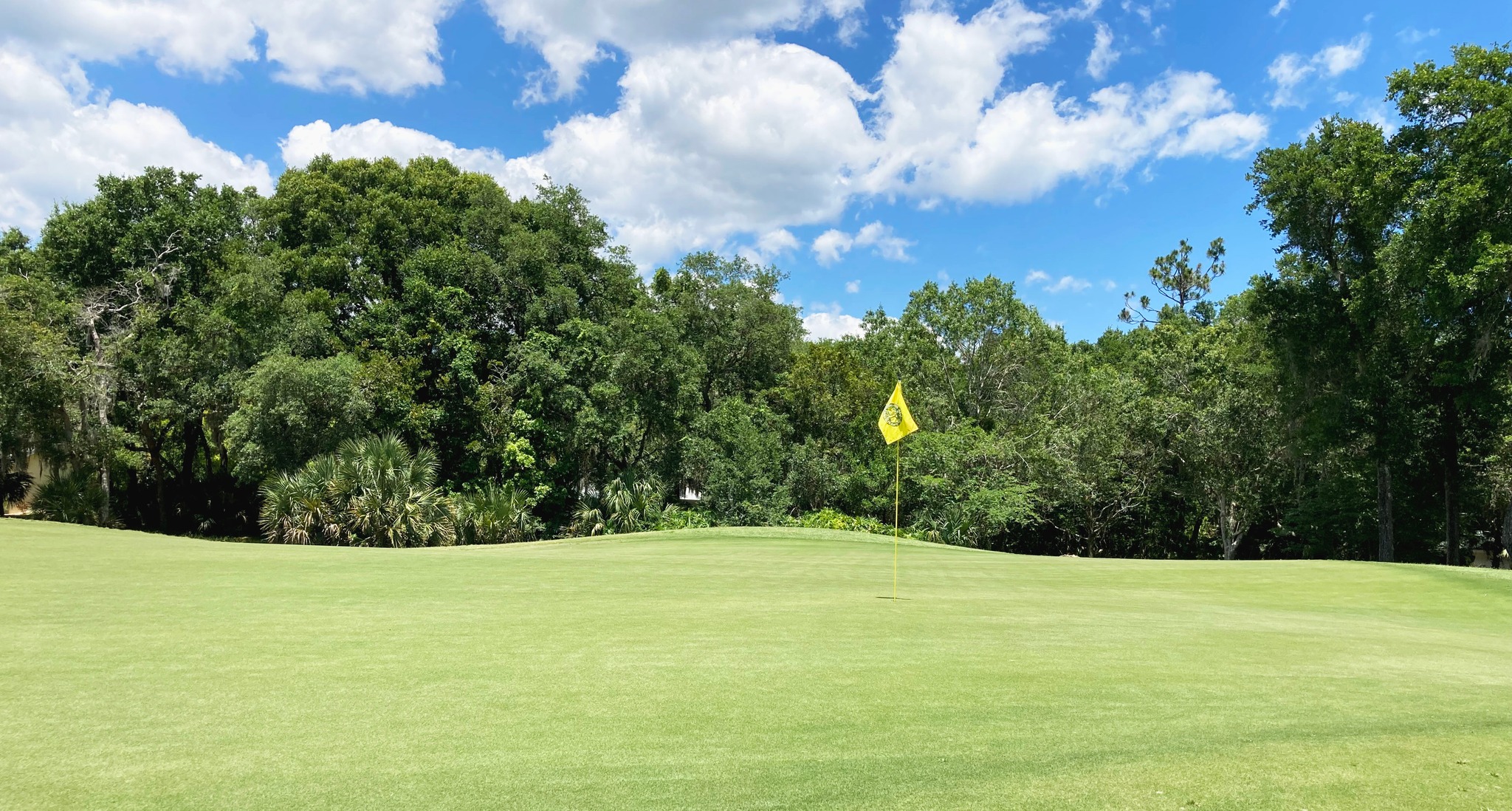 Gallery - Halifax Plantation Golf Club